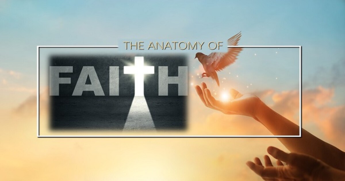 The Anatomy of Faith | 2nd Blog | Second Baptist Church Lubbock