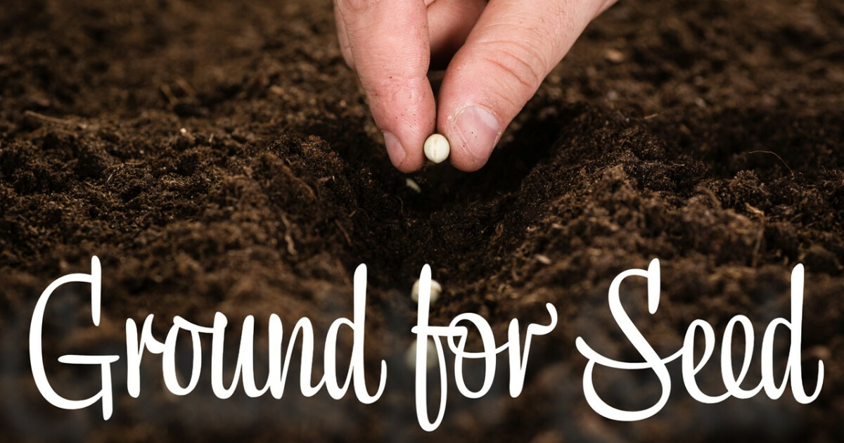 Ground for Seed | Sermons | The Point Christian Fellowship