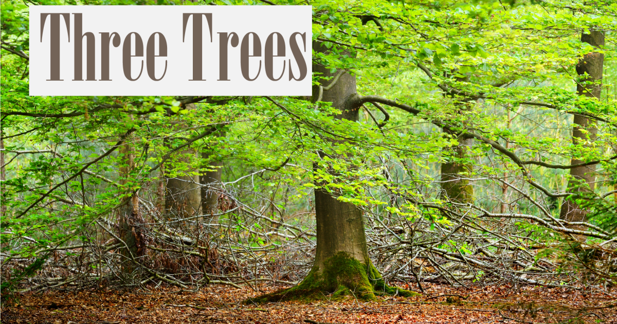 Three Trees | Blog | Twickenham Church of Christ