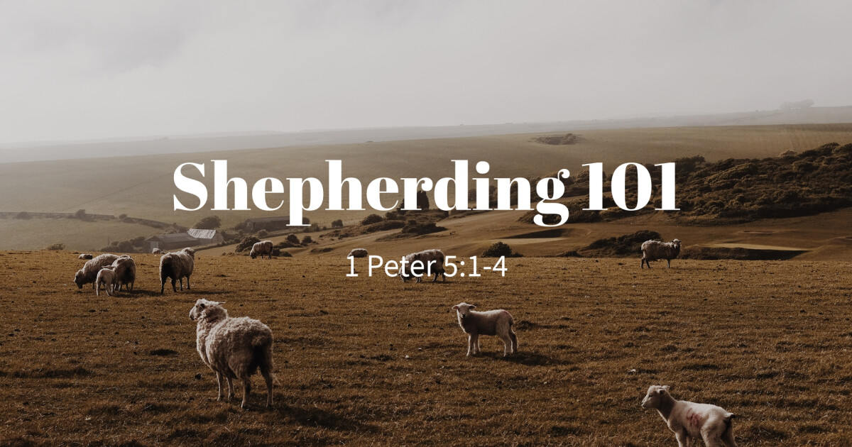 Shepherding 101 | Sermons | Woodhaven Bible Church
