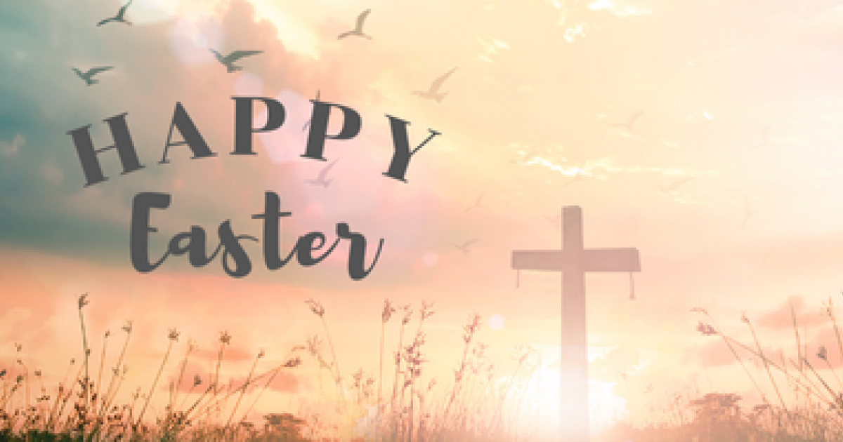 The Presby Mini Blitz – 4/15/2025 | News to Use | The Presbyterian ...