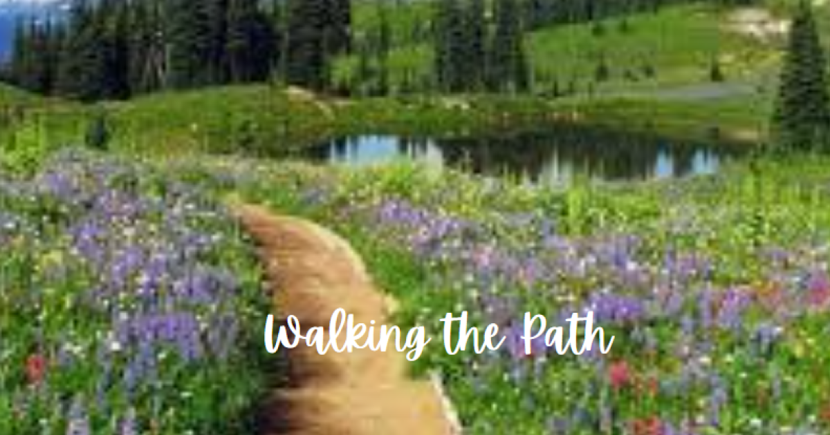 10:00am: Zoom Visio Divina Meditation with Grace Losso Modla | Holmdel ...