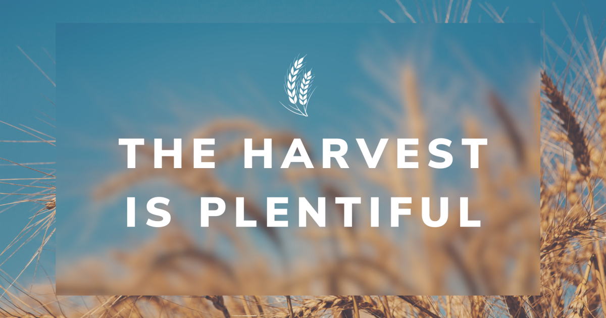 The Harvest is Plentiful (2023) | Sermons | Cove Church