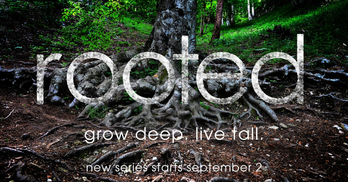 The Focus of a Rooted Life | Sermons | Trinity Church