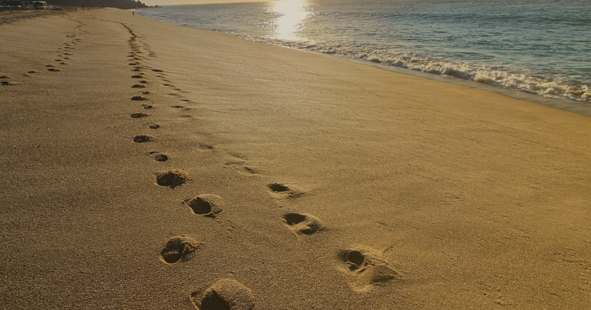 Following The Master's Lead | Weekly Devotional | The Church Without Walls