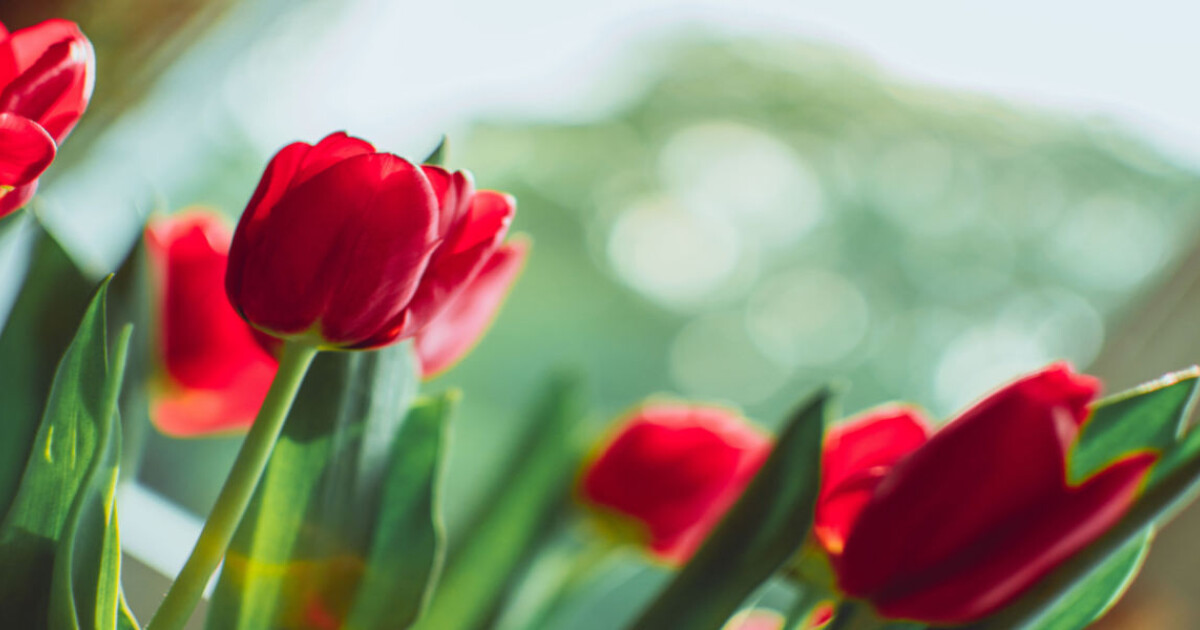 Financial Faith Pledge | FavorLife Church