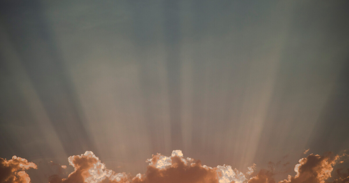 God Will Have His Way | Pastor's Devotions | New Hope Oahu