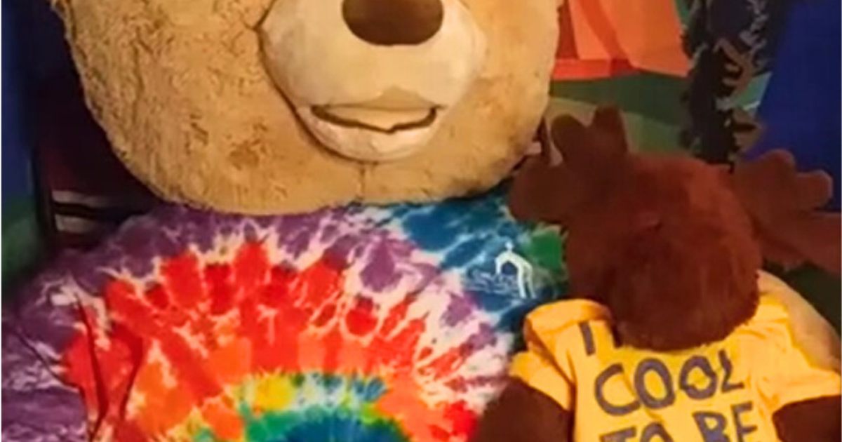 Oct. 5: Stuffed Animal Adoption at Creation Care Fair | Children and ...