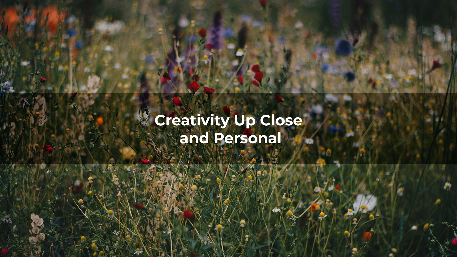 Blog - Creativity up Close and Personal