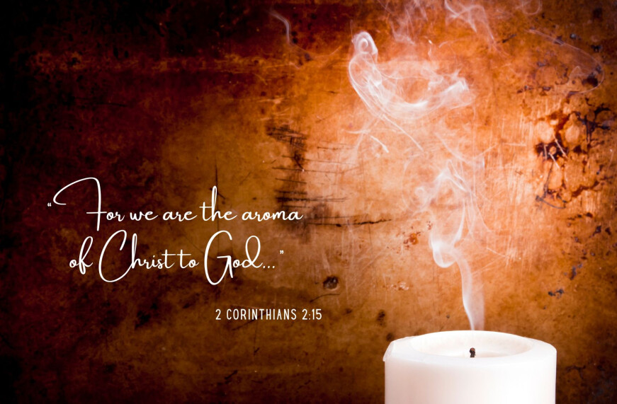 Pastor's Blog - The Fragrance of Christ | Wethersfield Evangelical Free ...