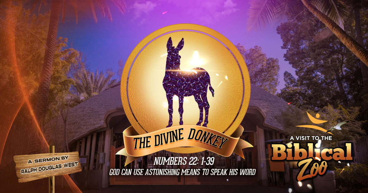 The Divine Donkey | Numbers 22:1-39 | Sermons | The Church Without Walls