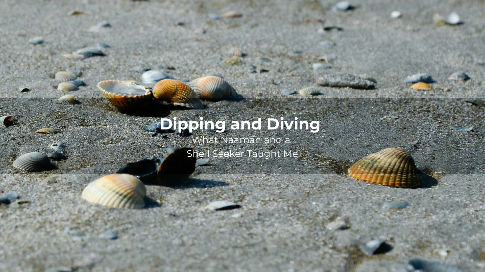Blog - Dipping and Diving: What Naaman and a Shell Seeker Taught Me