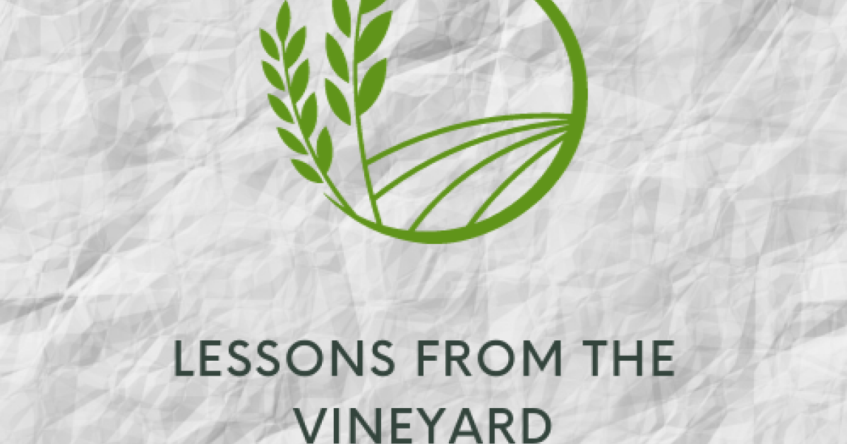 Lessons from the Vineyard | Sermons | First Presbyterian Church of Greenville, NC