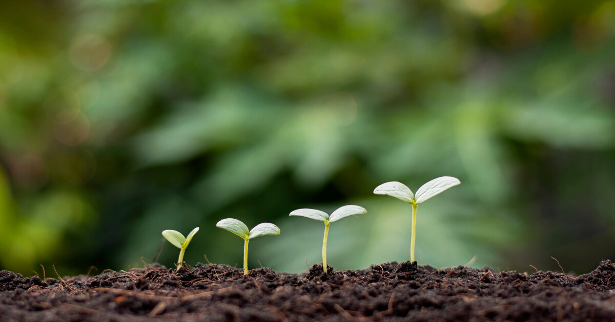Bearing Fruit | Our Blog | South Delta Baptist Church