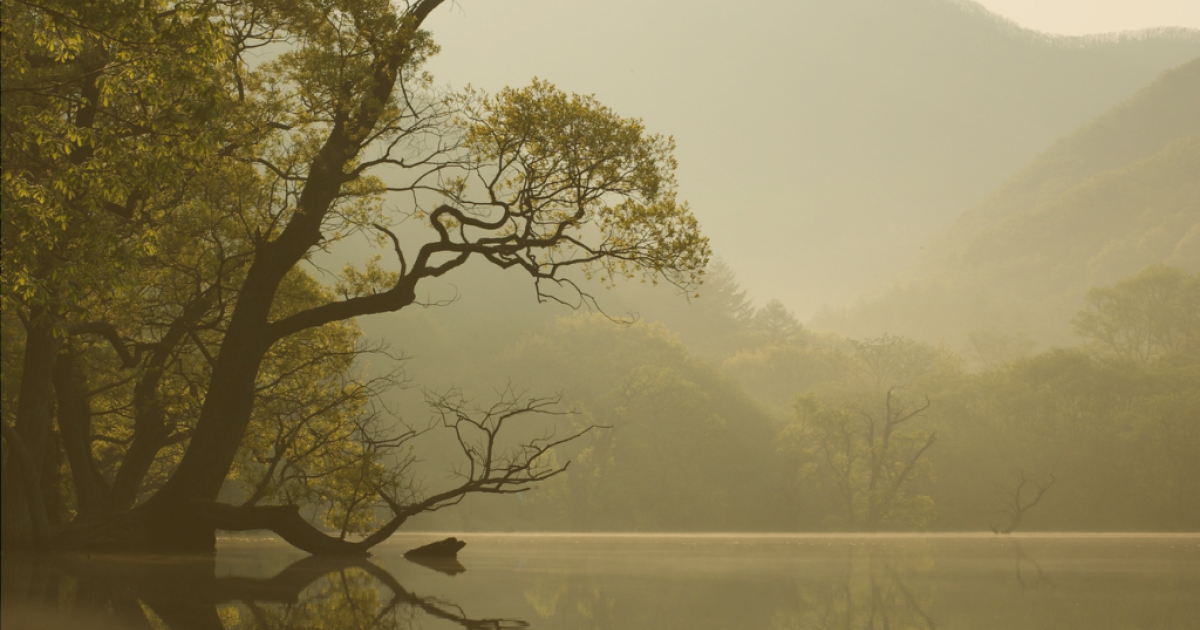 Recognizing God in All Things | Weekly Devotional | The Church Without ...