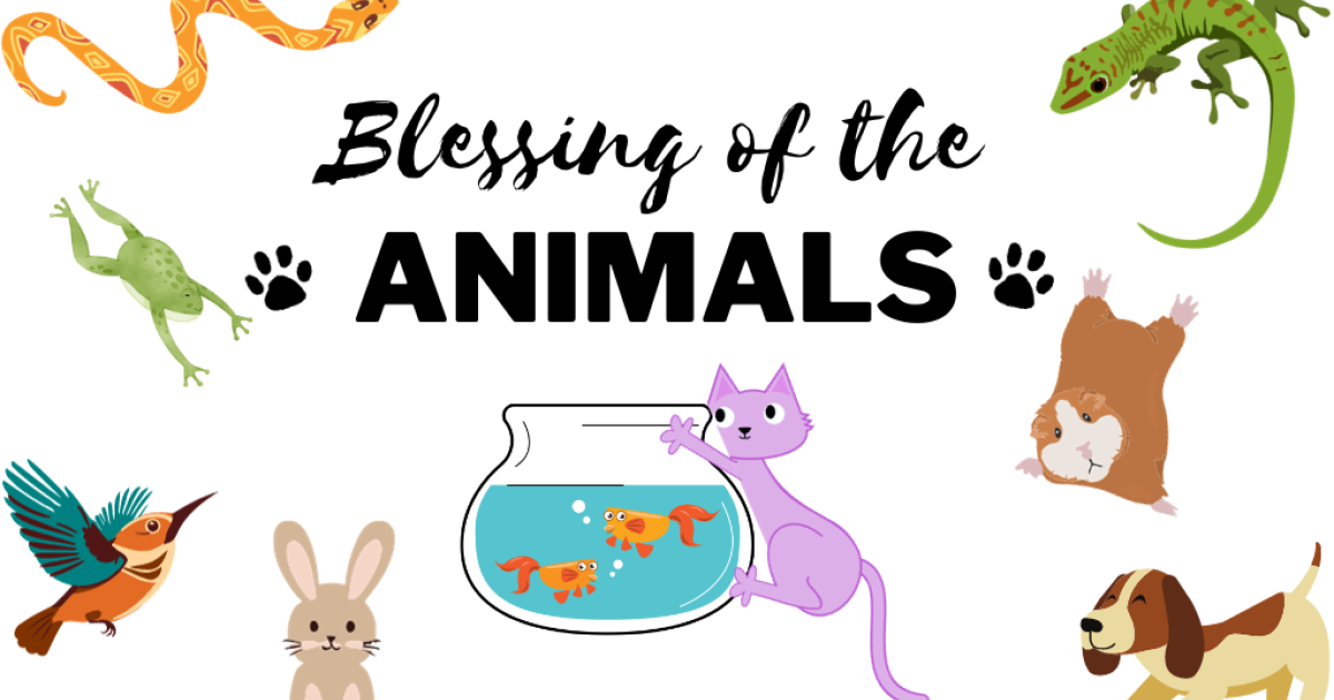 Blessing of the Animals | Sermons | Asbury United Methodist Church