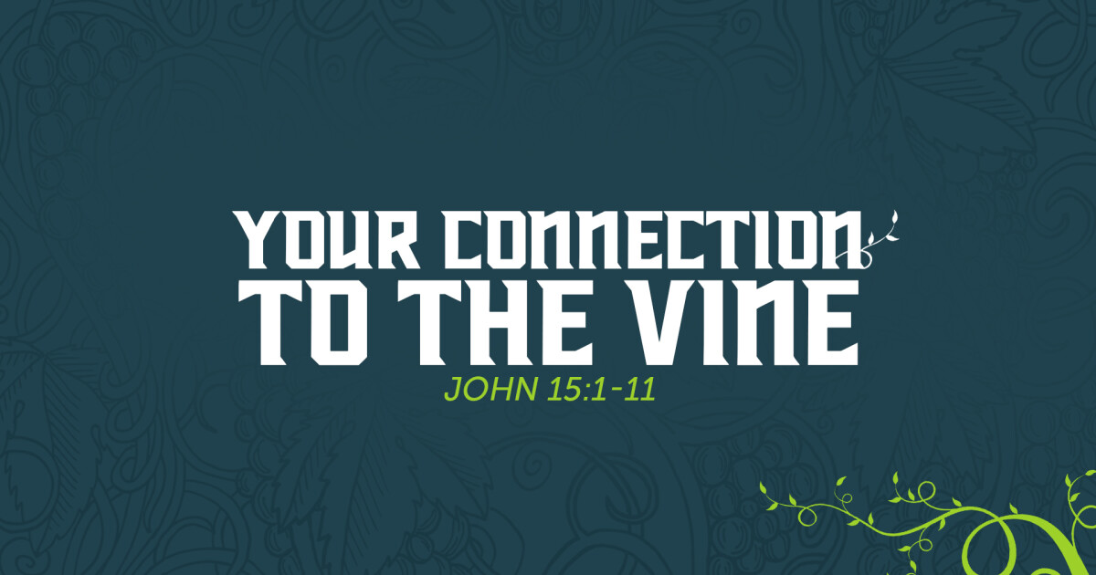 Your Connection To The Vine | Sermons | Search the Scriptures
