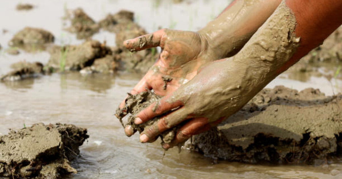 Mud Treatment | Life Journal Daily with Pastor Wayne | New Hope West
