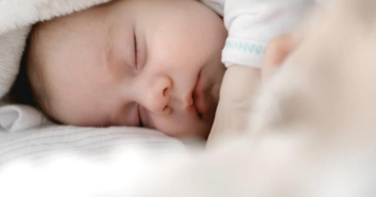 September 1, 2024 | Articles | Fifth Avenue United Methodist Church