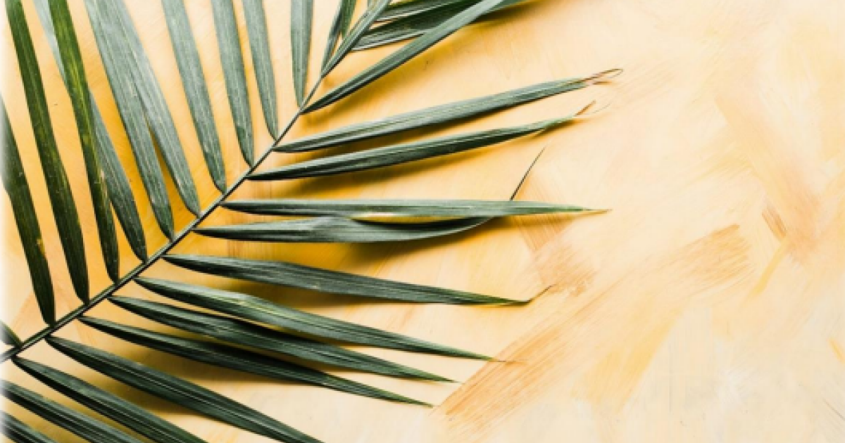 April 13, 2025 | Articles | Fifth Avenue United Methodist Church