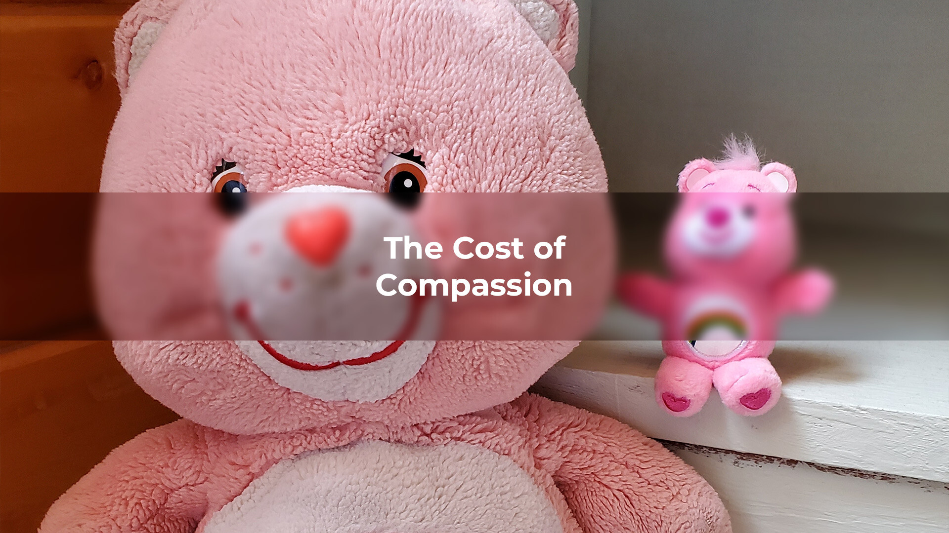 Blog - The Cost of Compassion