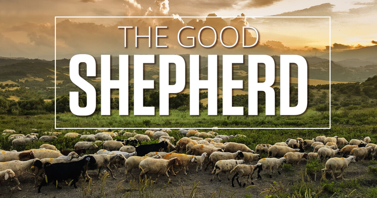 The Good Shepherd | Sermons | Lutheran Church of Webster Gardens