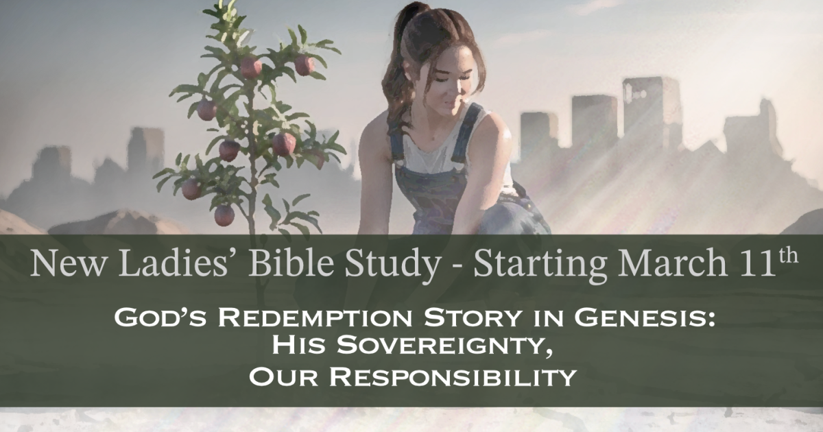 Ladies' Bible Study | God’s Redemption Story in Genesis | Berean Bible ...
