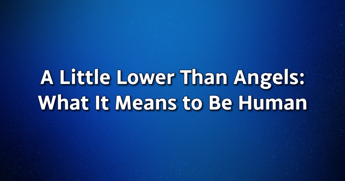 Men's Bible Study - A Little Lower Than Angels | The Worship Place