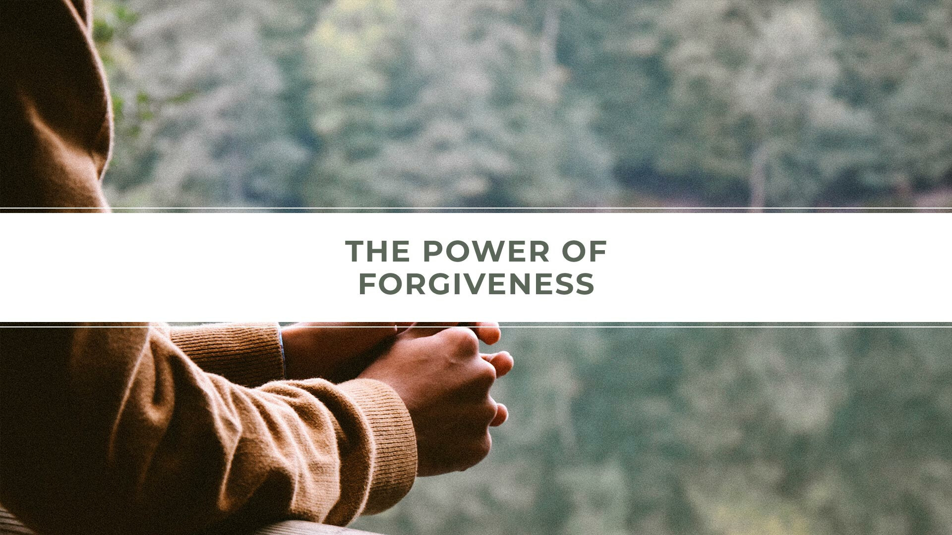 Blog - The Power of Forgiveness