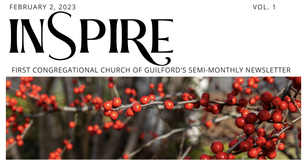 InSpire Newsletter - Vol.1 February 2023 | Newsletter Archive and ...
