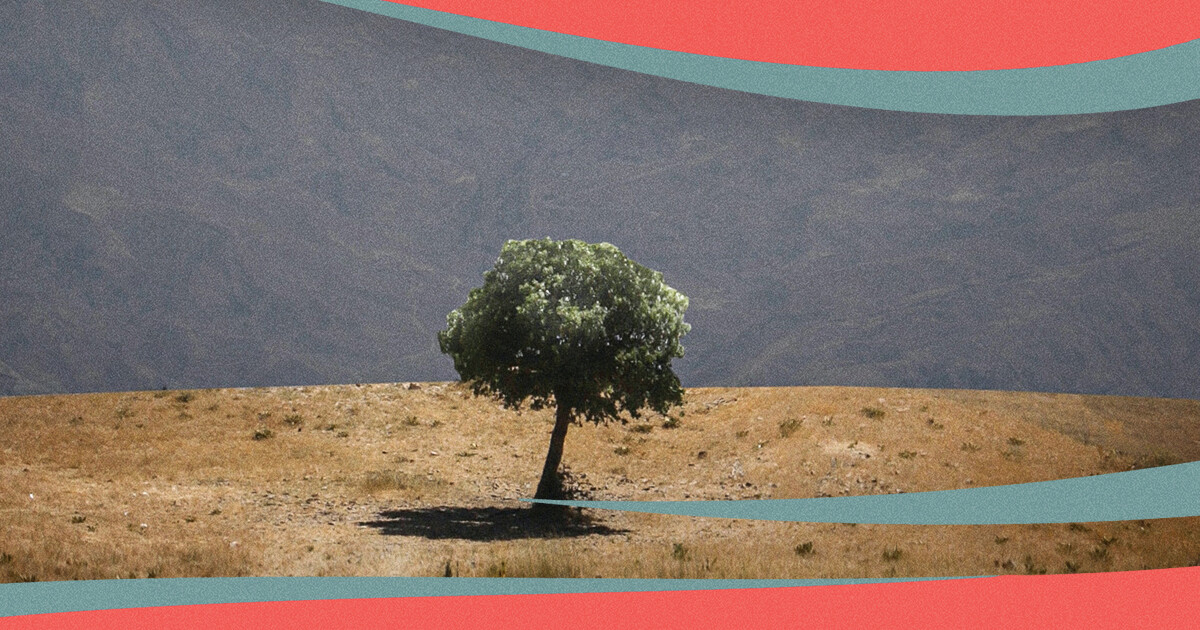 What Does it Mean to be Fully Alive in Jesus | Blog | Plainfield ...