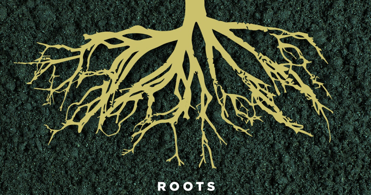 ROOTS: Jesus is Power | Sermons | Otter Creek