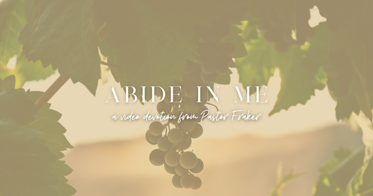 Video Devotion: Abide in Me | Video Devotions | Cross Lutheran Church ...