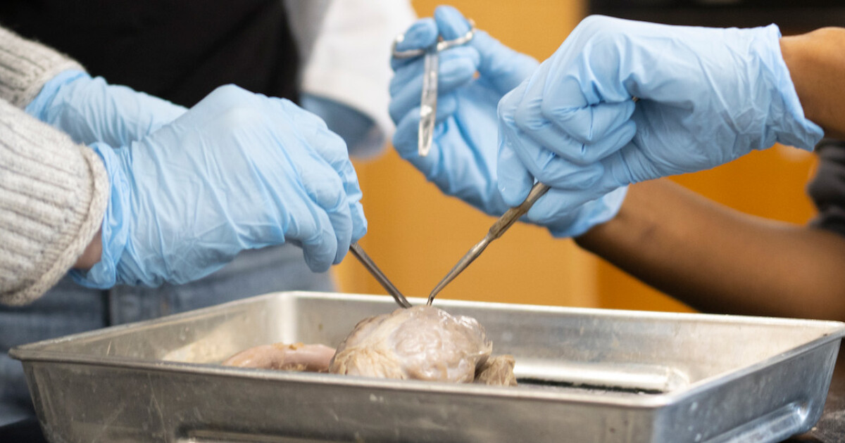 BS in Pre-Veterinary Science | Southern Wesleyan University