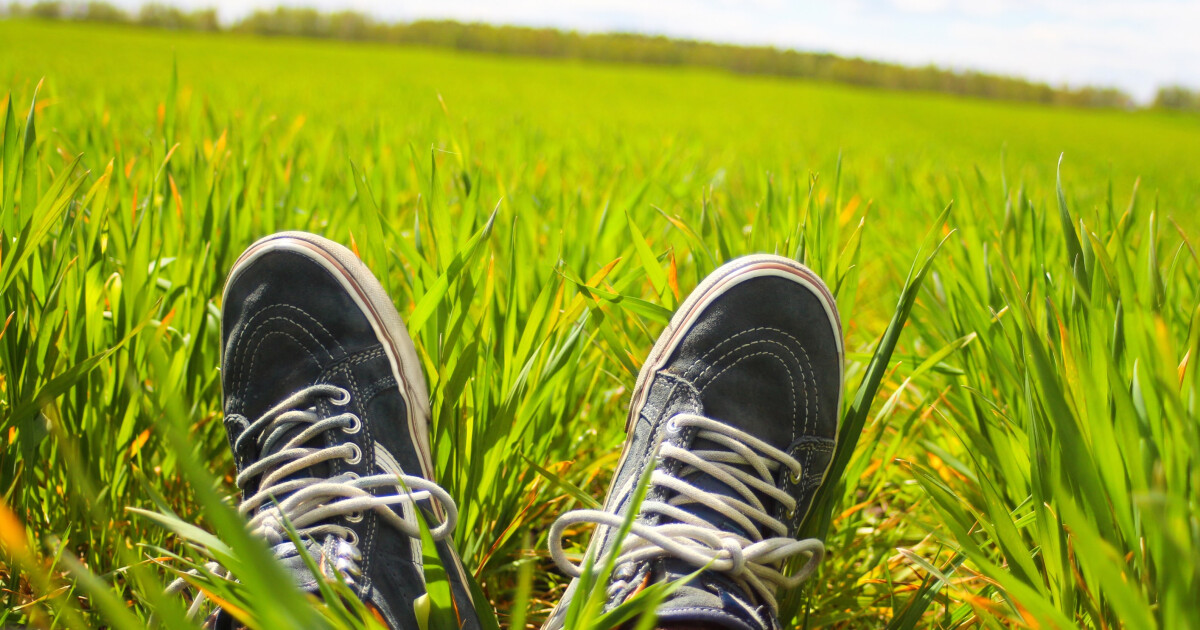 The Poetic Handiwork of Our Great Creator | Blog | Creation Moments