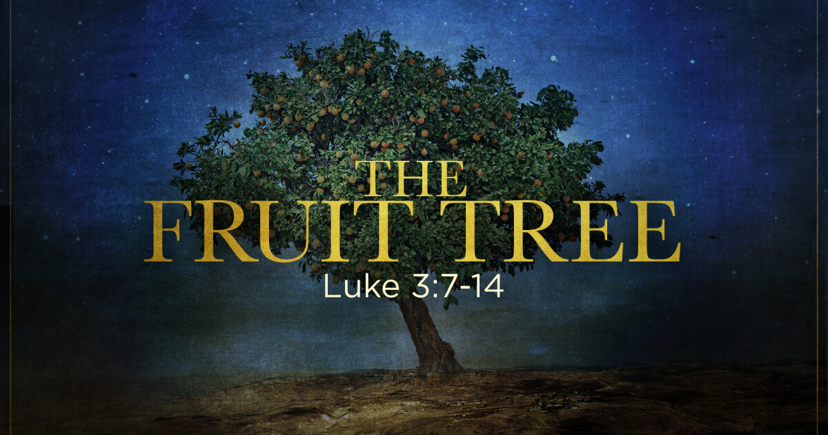 The Fruit Tree | Sermons | FBC Plano