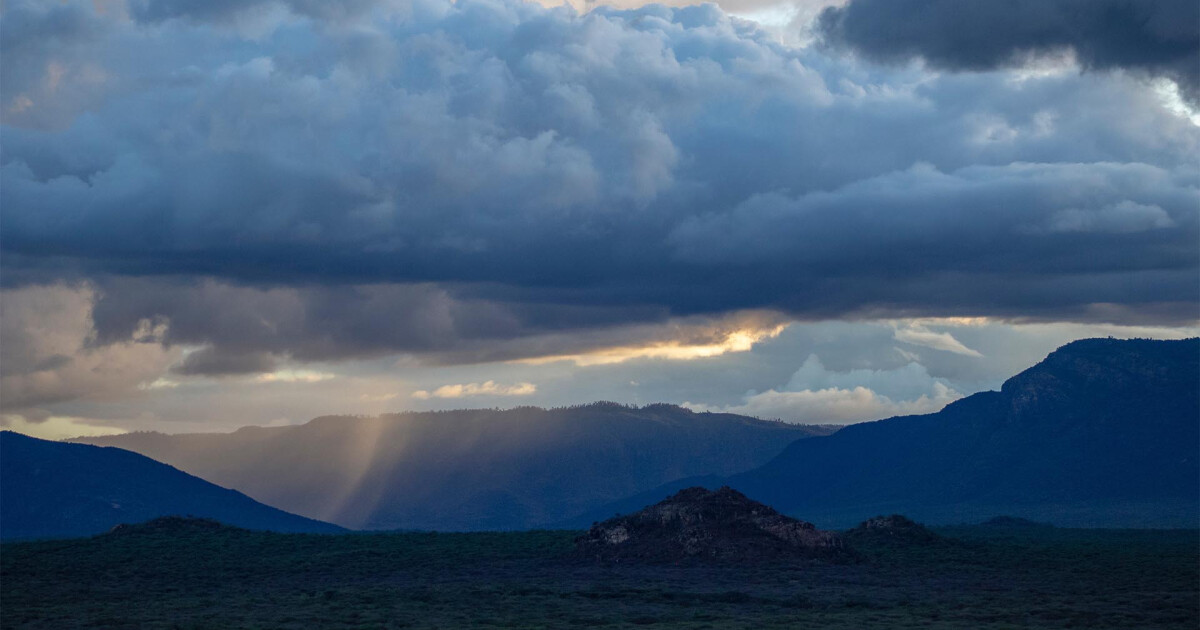 Choose Life | Life Journal Daily with Pastor Wayne | New Hope West