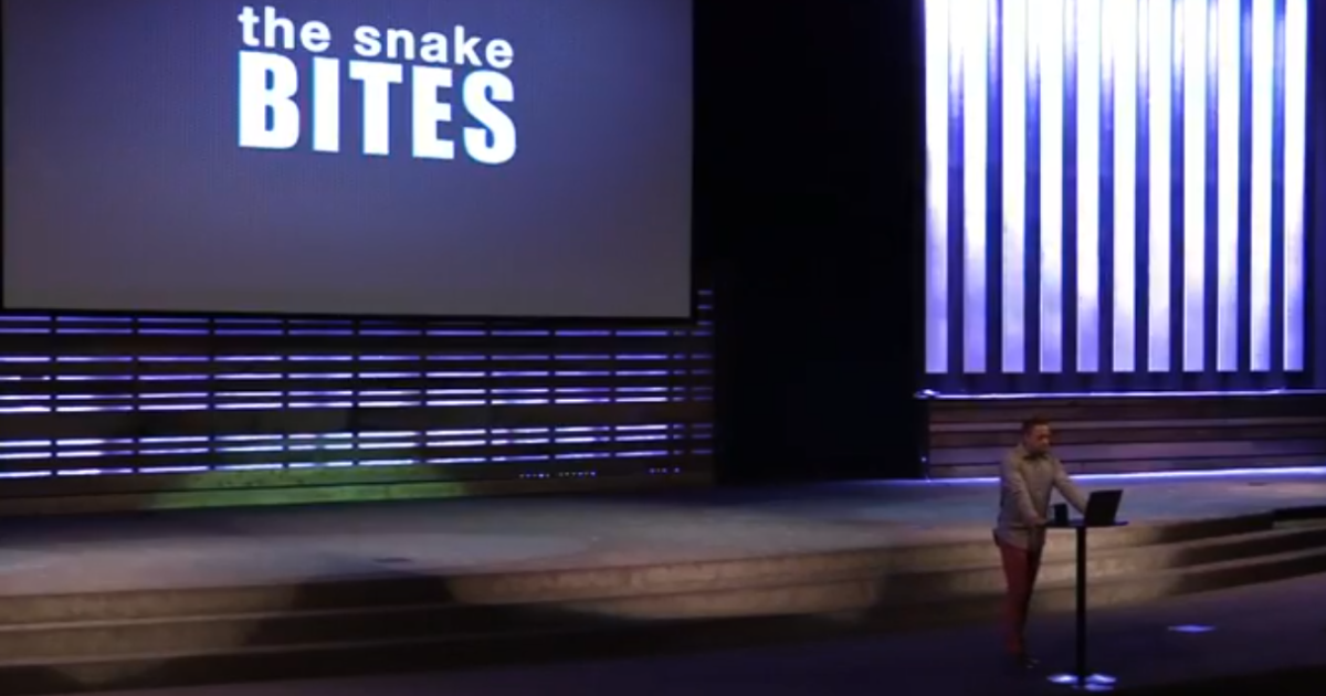 Snake Bite | Sermons | Experience Gateway