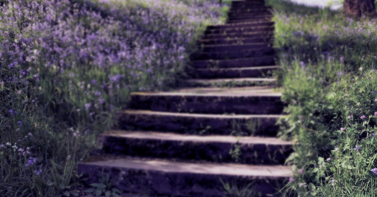 Next Steps | Experience Gateway