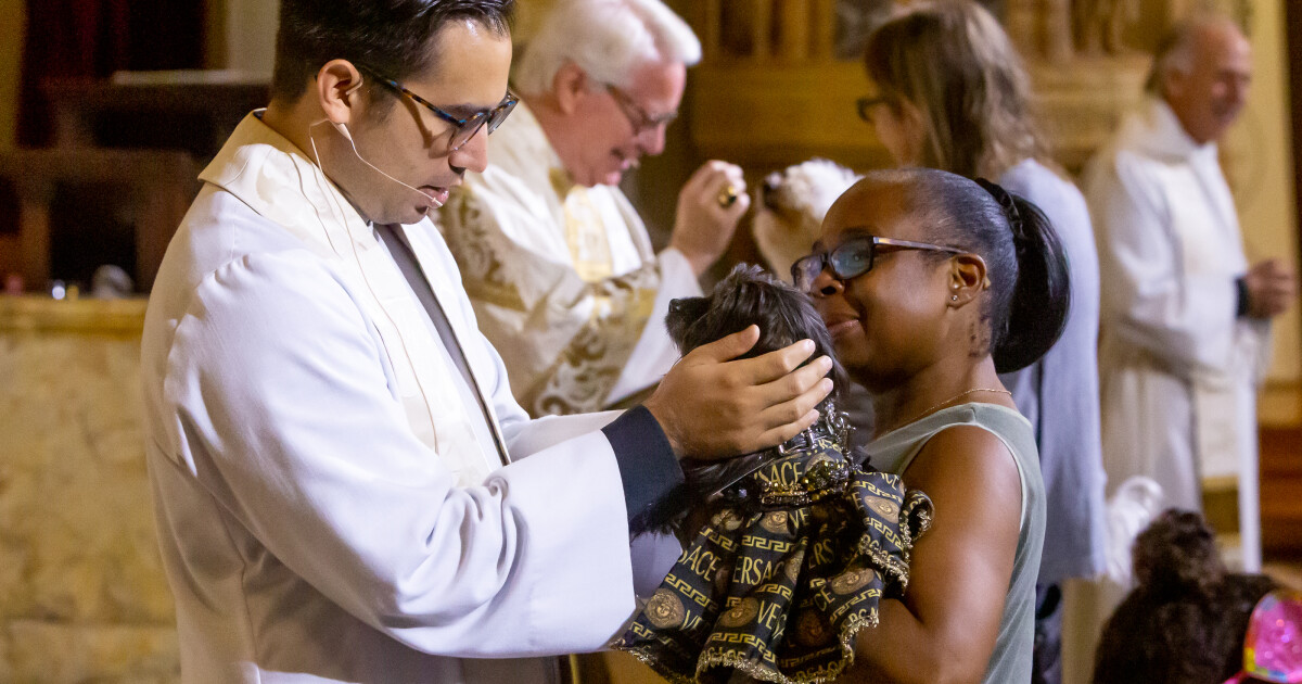 St. Francis Day Blessing of the Animals | St. Bart's