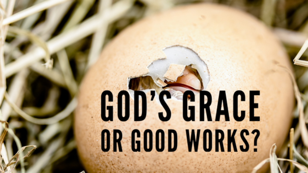 What Comes First? The Chicken or the Egg? | Sermons | West Side ...