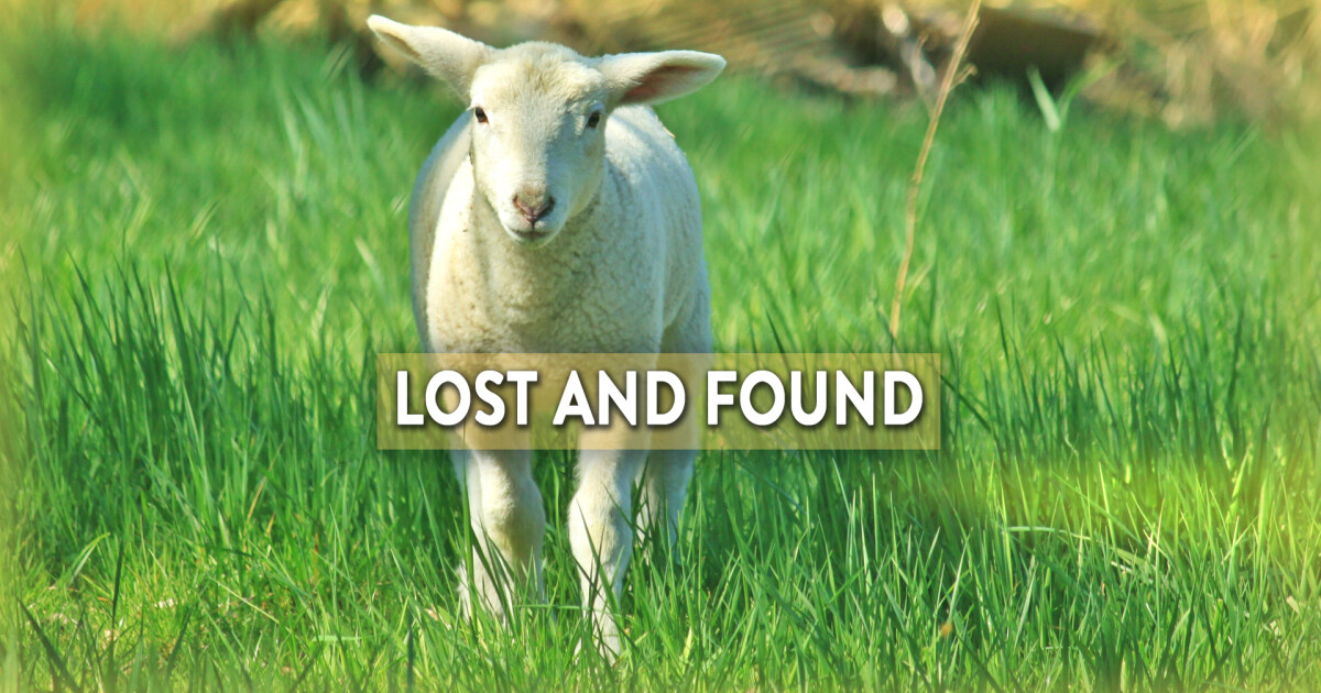 Short Stories, Big Lessons: Lost and Found | Sermons | Arcola United ...