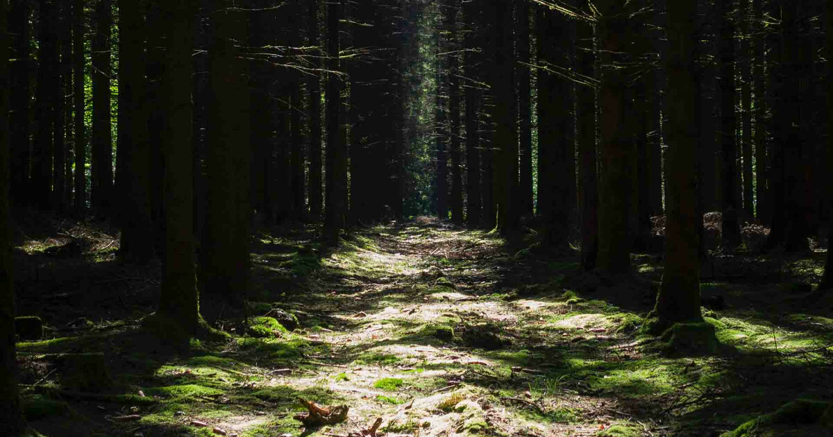 Sometimes, Miracles Hide | Life Journal Daily with Pastor Wayne | New ...