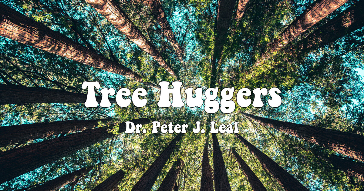Tree Huggers (Part 1) | Sermons | Victory Church