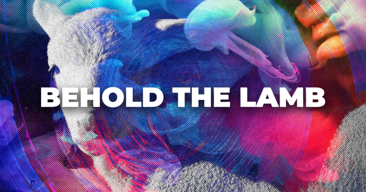Behold the Lamb: Manger to Master | Sermons | Freedom Church Chattanooga