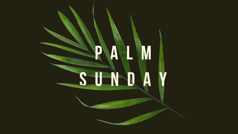 Palm Sunday - The Triumphal Entry | Sermons | Second Baptist Church ...