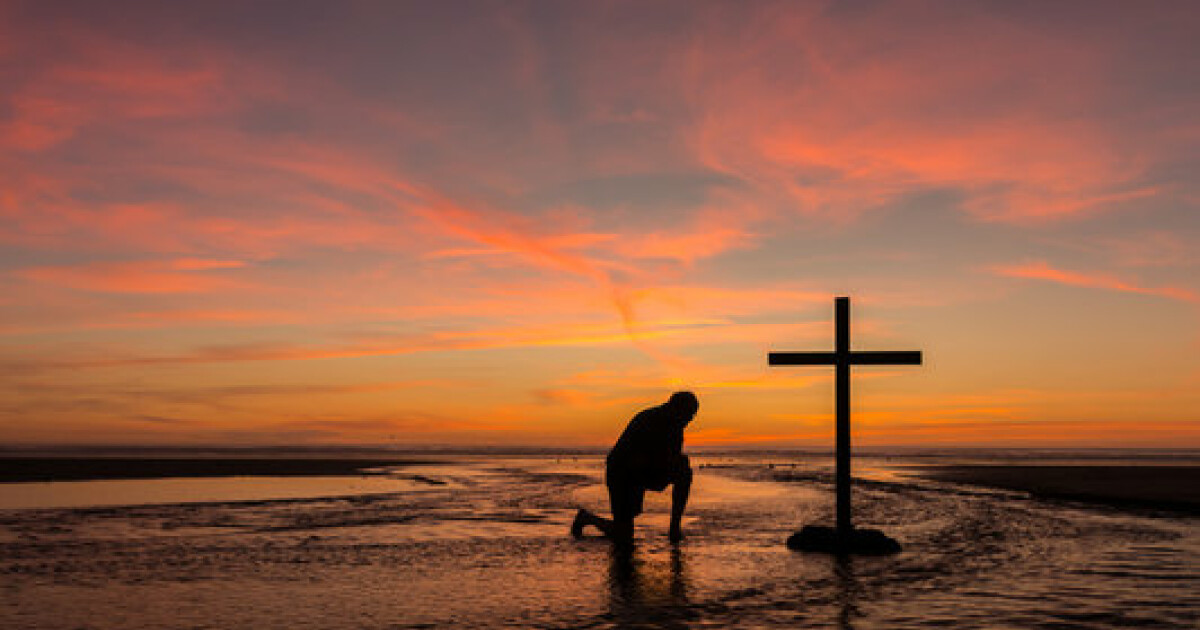 Proven by Wisdom | Life Journal Daily with Pastor Wayne | New Hope West