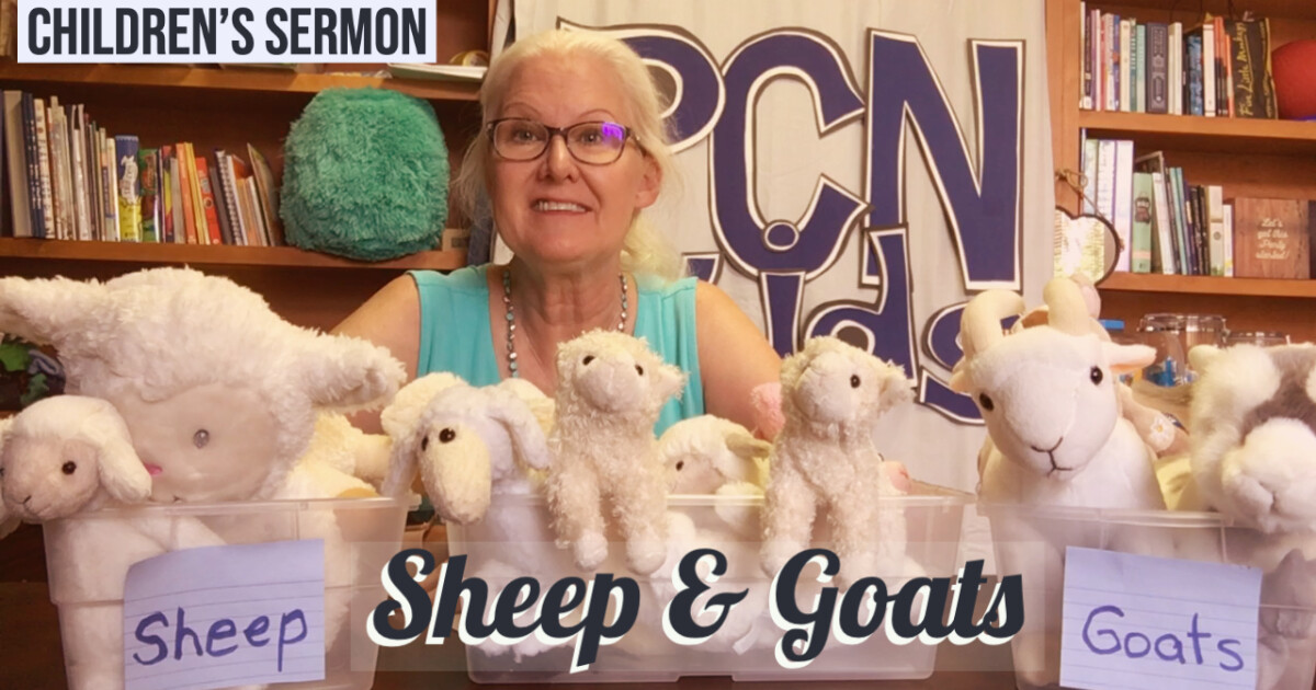 Sheep & Goats: Children's Sermon | Children's Videos | Presbyterian ...