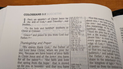 Bible Studies | Calvary Lutheran Church and School