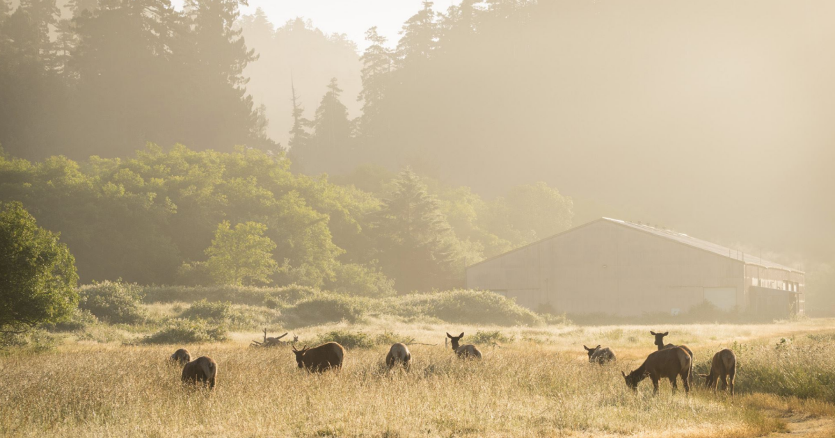 Native American Acknowledgement | First United Methodist Church | Madison